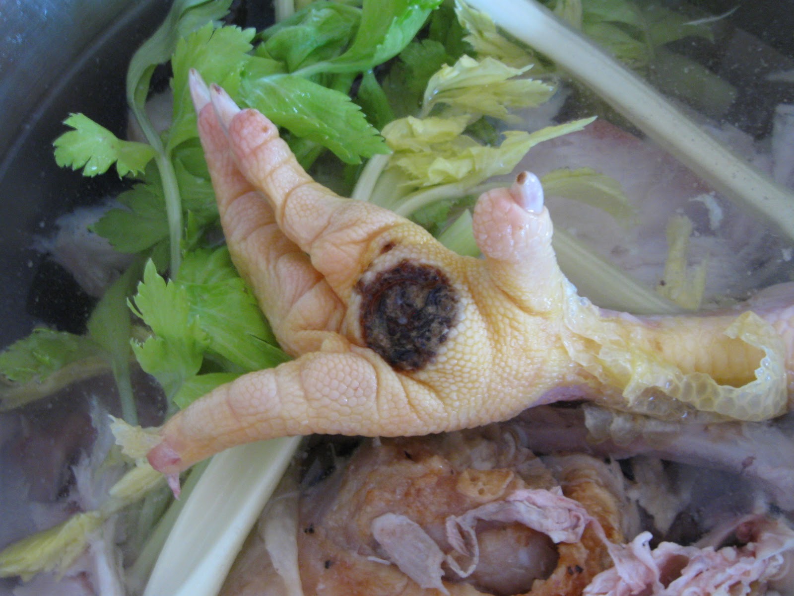 dirt girrrl: Chicken Feet and other Stories