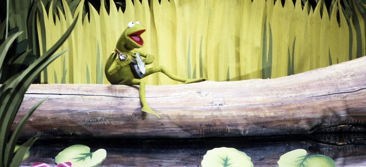 La rana rené wallpaper - Imagui