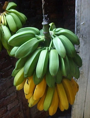 VIAJE CRISTIAN NAVARRO: Aserradero