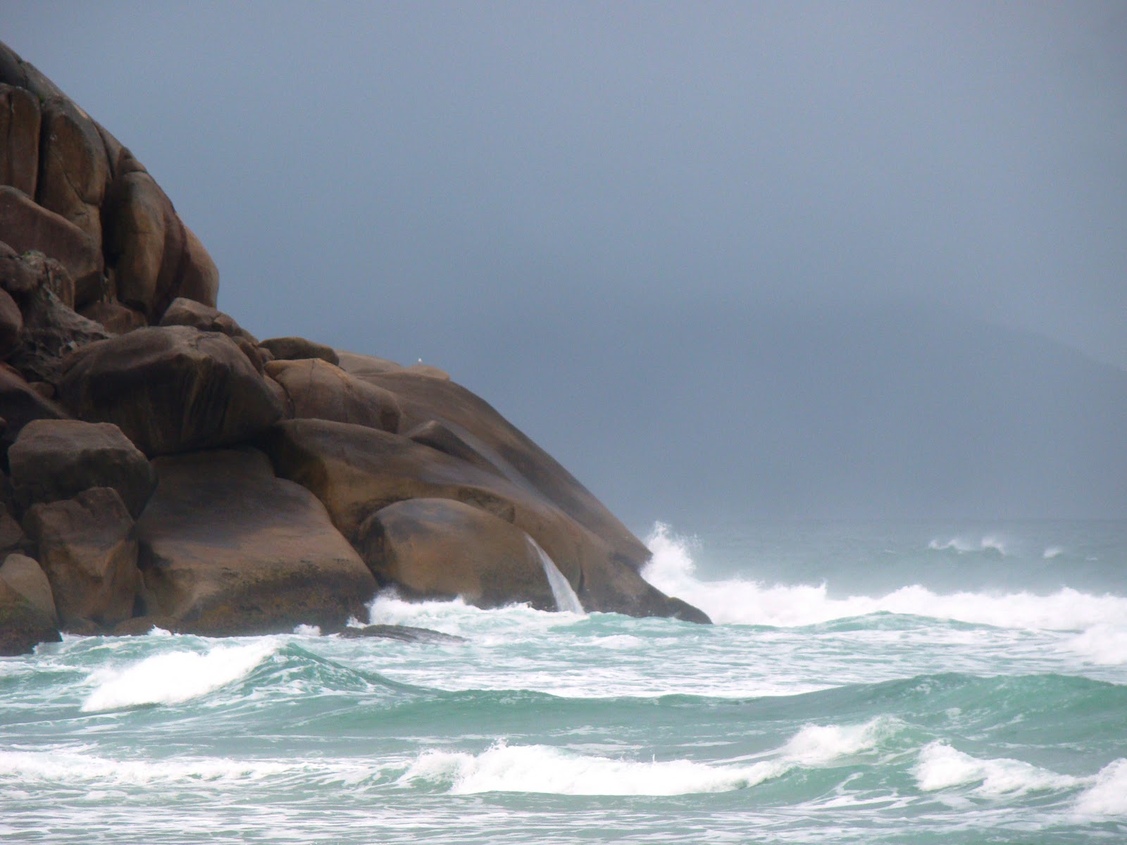 Prof. Mauro Parolin: Praia Brava/Florianópolis