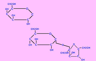 LA VIDA SIN TU AMOR NO ES NADA