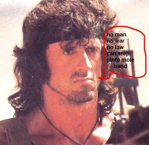 PINTO MOLE BAND IN CONCERT LIVE ORQUESTRA: julho 2010