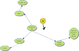 Flowers for sale: Updated concept map