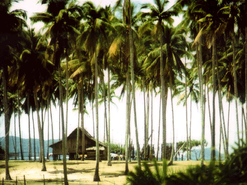 Singapore Then And Now: Singapore Kampong Days