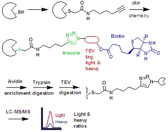 Click Chemistry: Click chemistry meets Cysteine