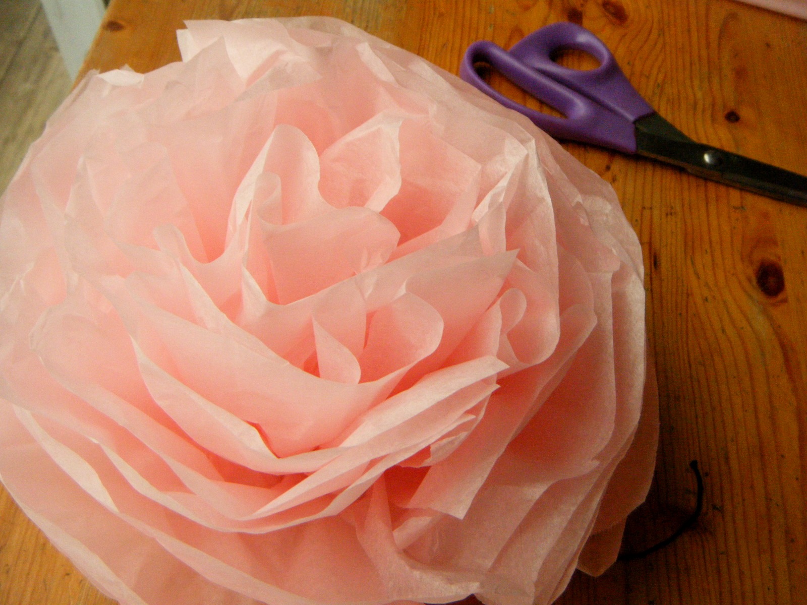 What About Pie: February Rain and Tissue Paper Flowers