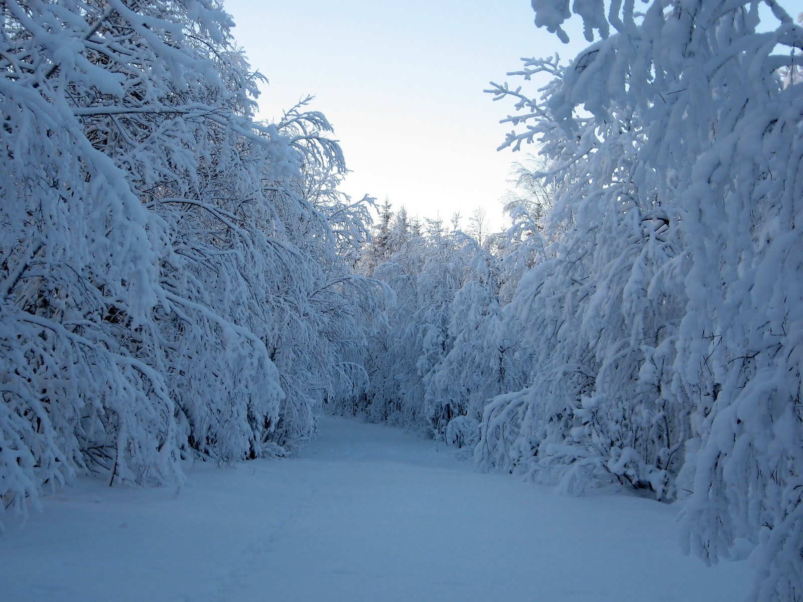 naturblogg: Vinterlandskap.