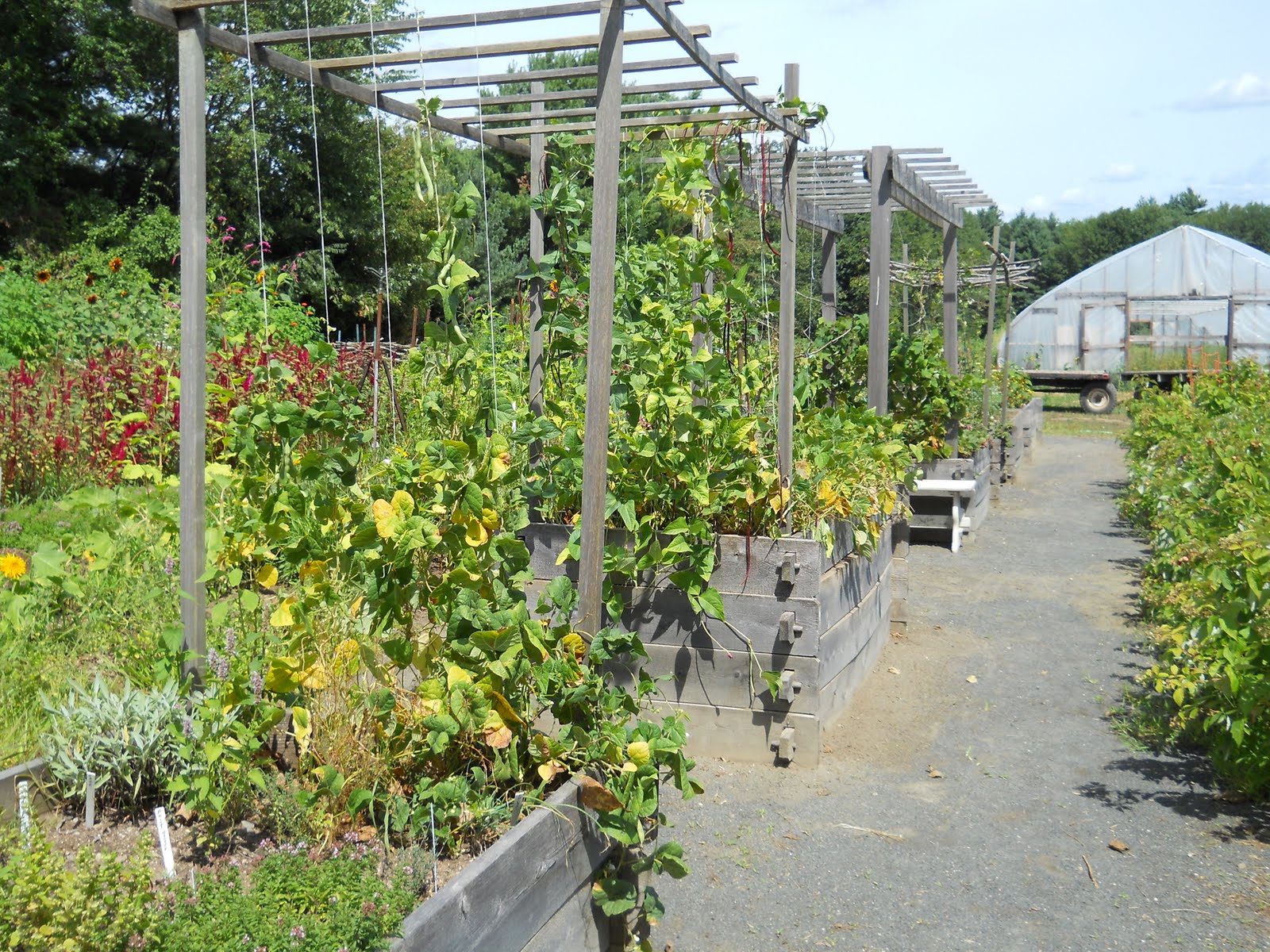 Accessible Gardens for All: COMPONENTS OF ACCESSIBLE GARDENS