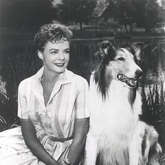 Roseanne Conner: Paying The Troll Toll