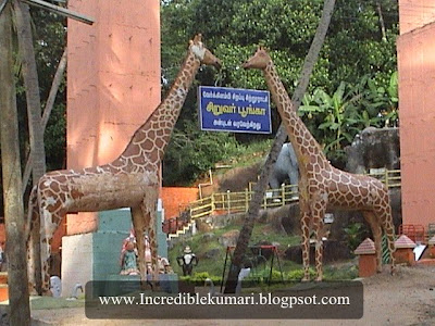 Exploring Kanyakumari: Mathur Thottipalam - 4
