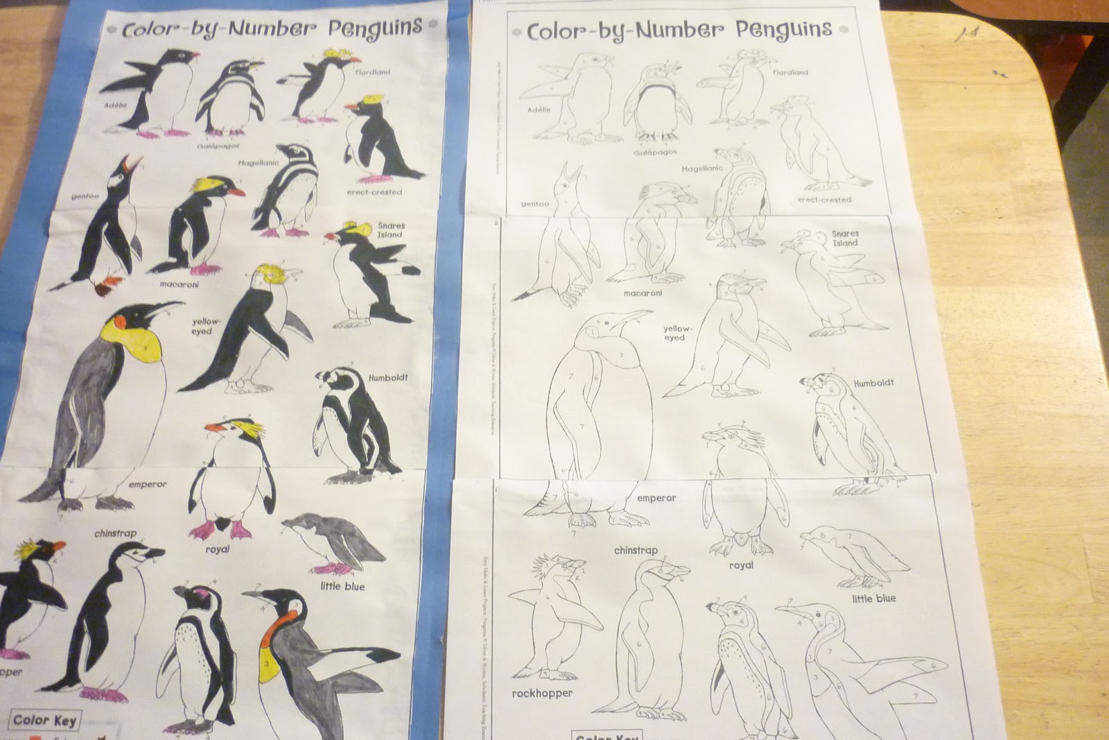 The Work Plan: Color by Number (Penguins)