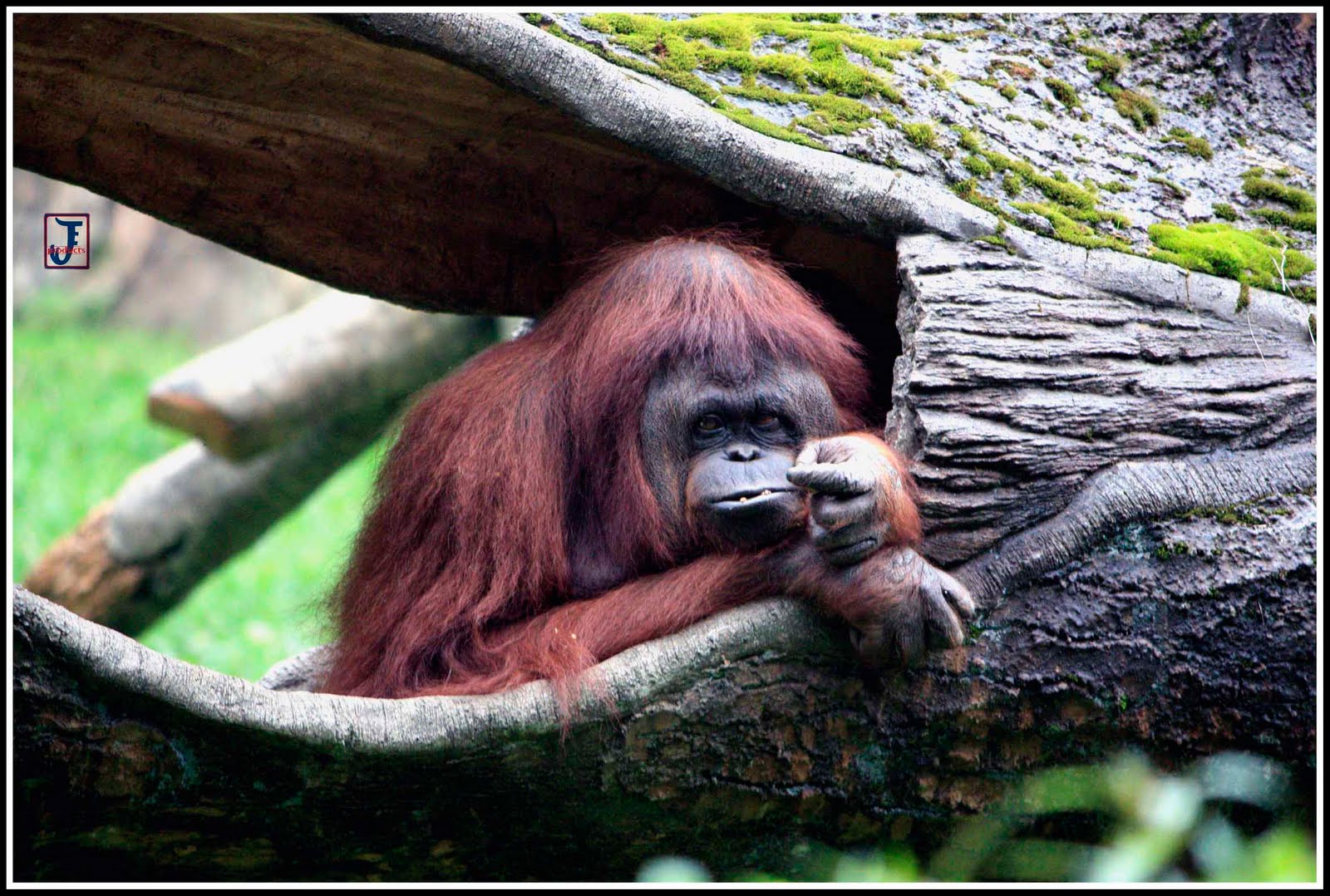 From Hobbies Become a Masterpiece: Teknik Dasar Foto Potret