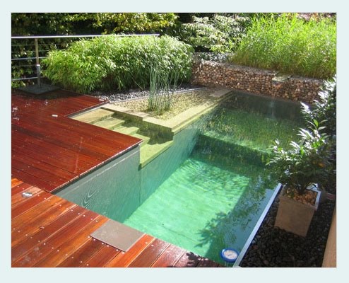 our eco pool | The Magic Valley
