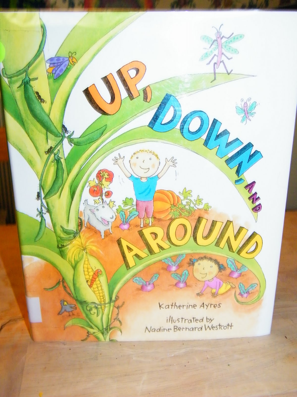 Adventures-In-Mommy-Land: Up, Down and Around (A stART project)
