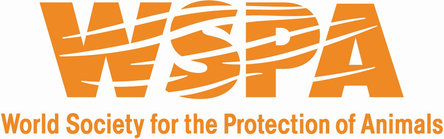 Organização Sócio Ambiental MiraTerra -OMT: Doações contribuem para ...