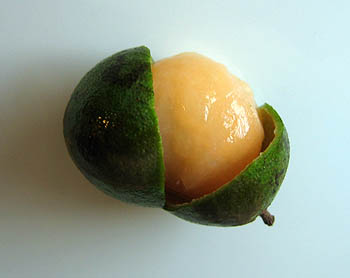 Tracey Friley's OneBrownGirl.com® - Culture. Diversity. Humanity ...