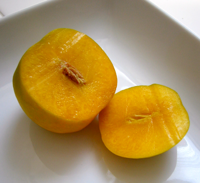 Tracey Friley's OneBrownGirl.com® - Culture. Diversity. Humanity ...