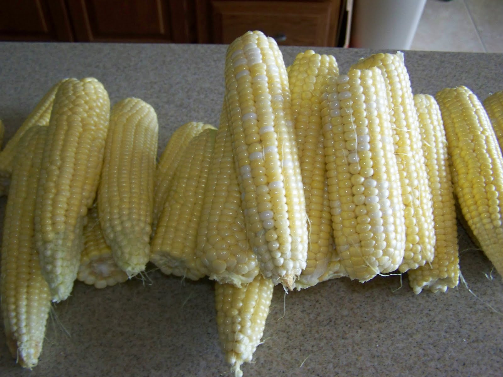 3 kids and lots of pigs: welcome to my pig pen: The first sweet corn of ...