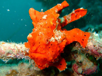 brommel: October 2007