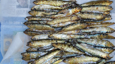 AMATOR BALIKCI-FAKO: RINGA BALIGI - SILAKKA LITKAUS