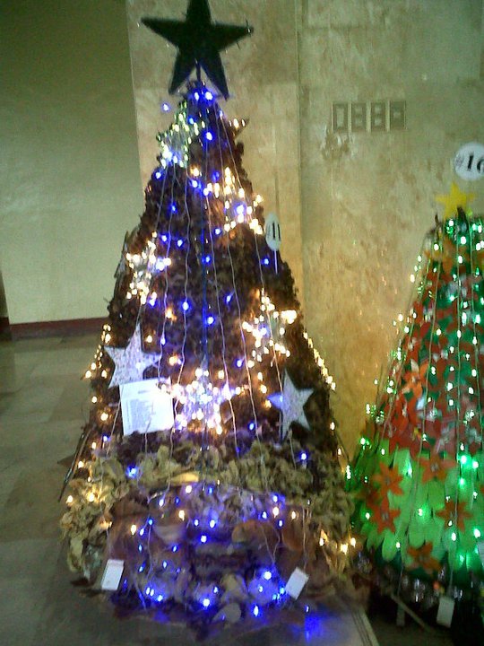 It's All About My Stories and Interests....: Christmas Tree Making ...