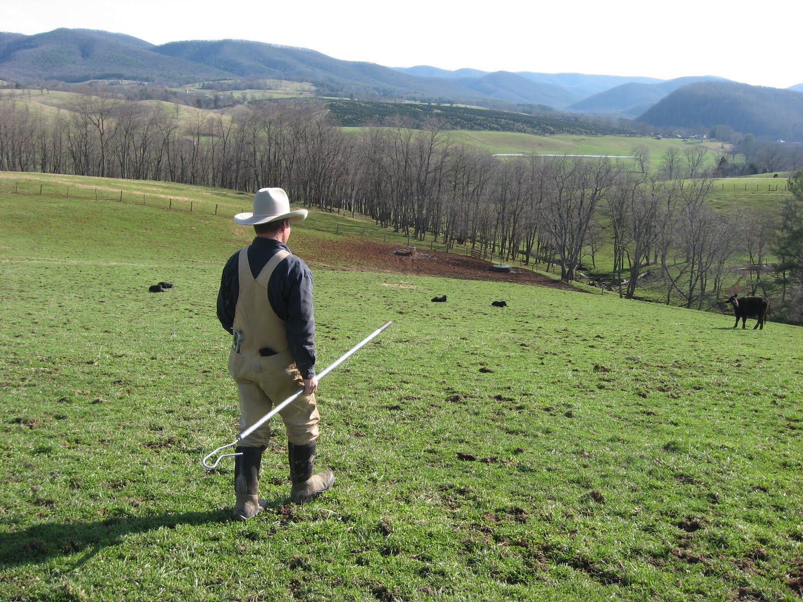 4R Ranch: Calf Catcher