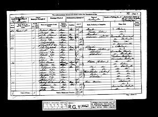 The McDermott Family Line: The Beginning of the Line: Fitzpatrick and ...