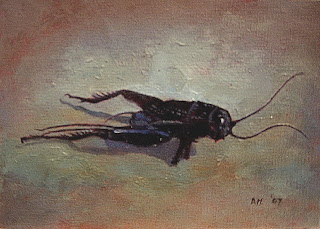 Deano's Den ( Gallery): Cricket-Insect Art