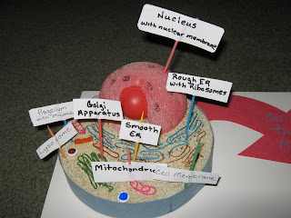 Maggie's Farm: Lab Project- Build A Cell, Unit 1