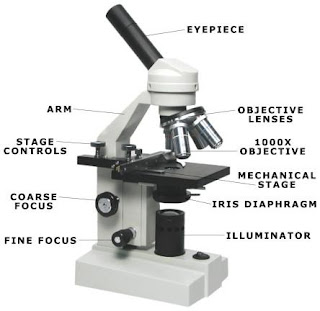 Maggie's Farm: Online Lab 1- Microscope Simulator
