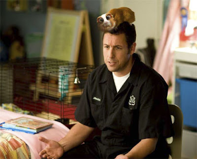 NOTICIAS YUNGAY: Cuy se convierte en estrella de cine