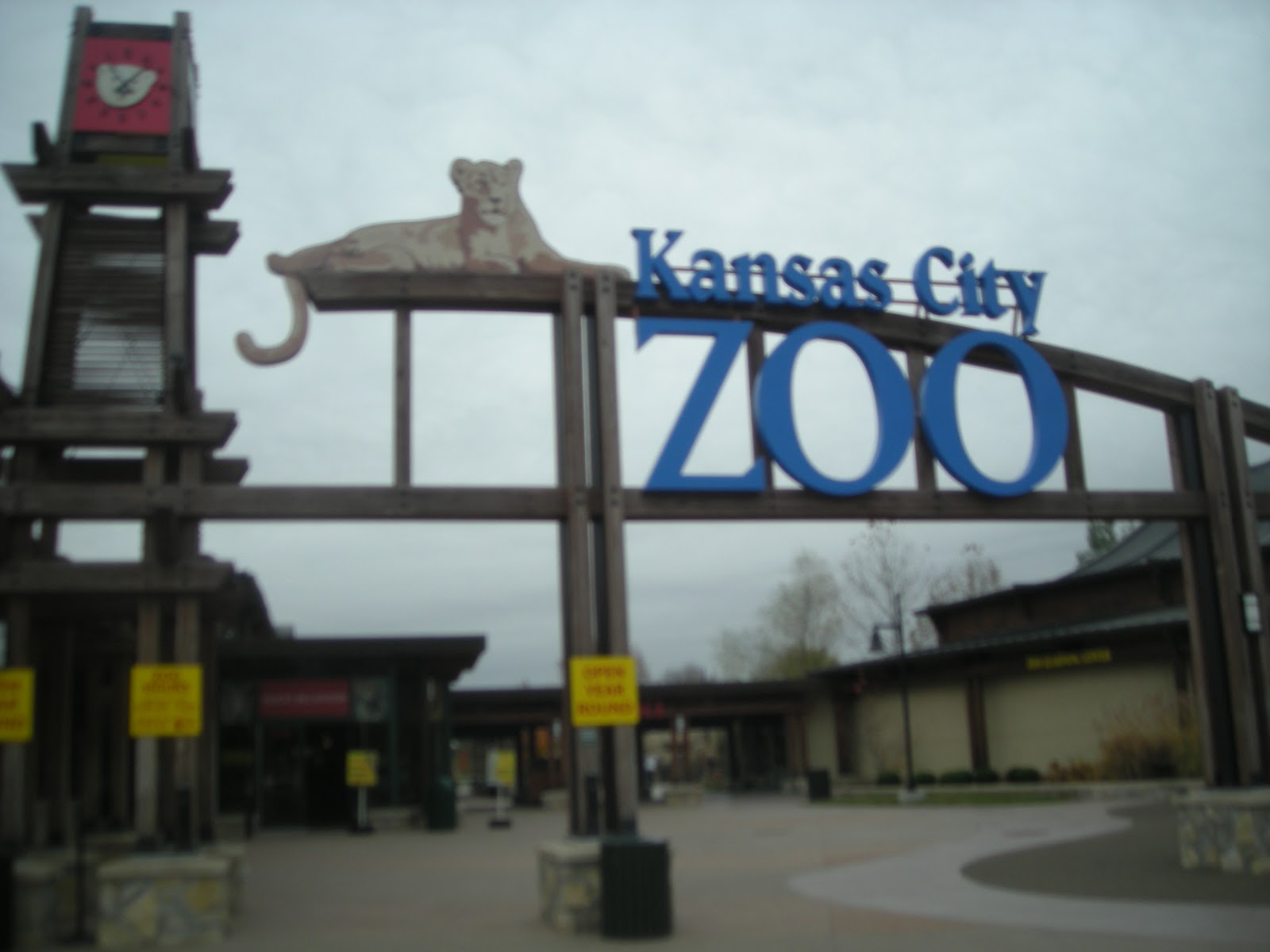 Cutting Coupons in KC: Field Trip Friday: Polar Bear at the Kansas City Zoo