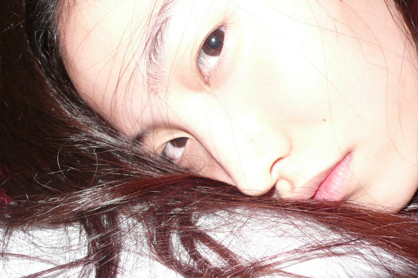 quibbling jottings: R.I.P. Daul Kim