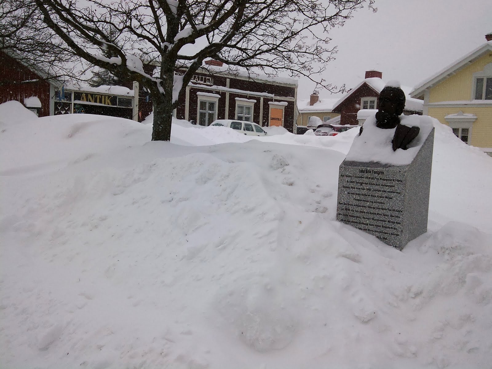 FORSGREN John Erik & Descendants: A "FINBUL WINTER" AT THE FORSGREN ...