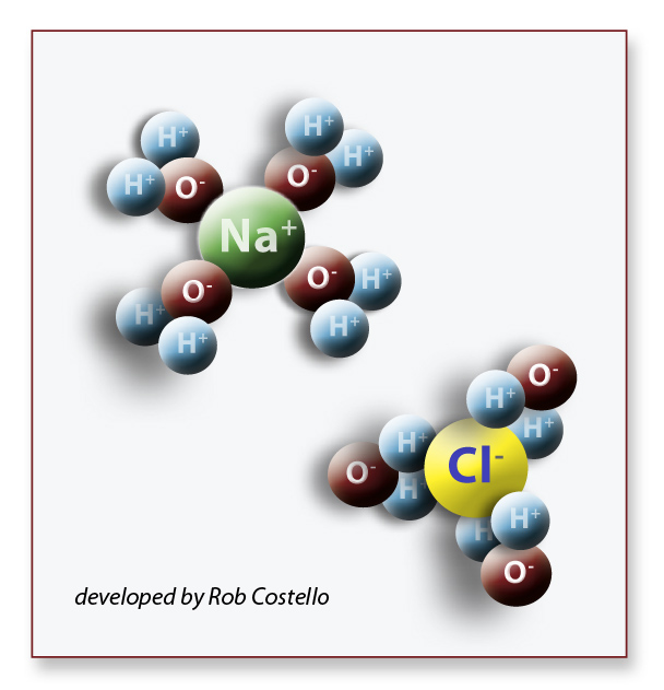 Calf Sessions: Electrolytes - Dissociation of Strong Ions