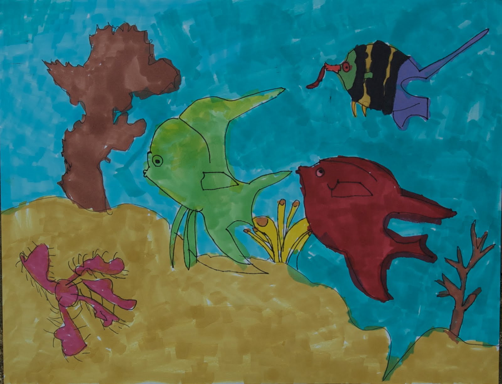 Art Classes For Homeschoolers: The Coral Reef