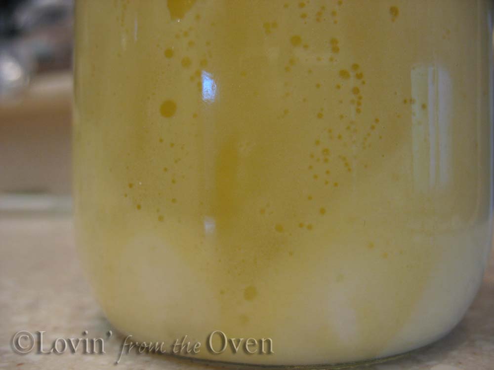 Frieda Loves Bread: 5 Minute Homemade Mayo: Round Three