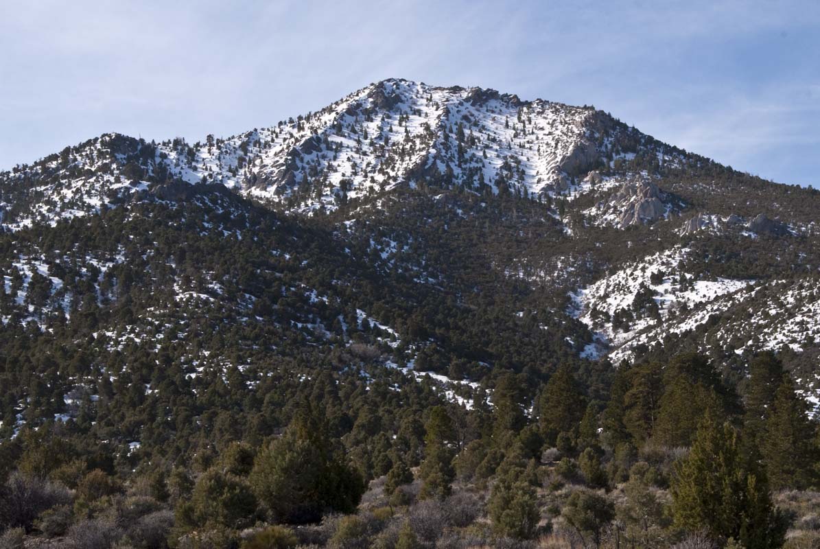 Southern Nevada Outside: Mt Stirling WSA