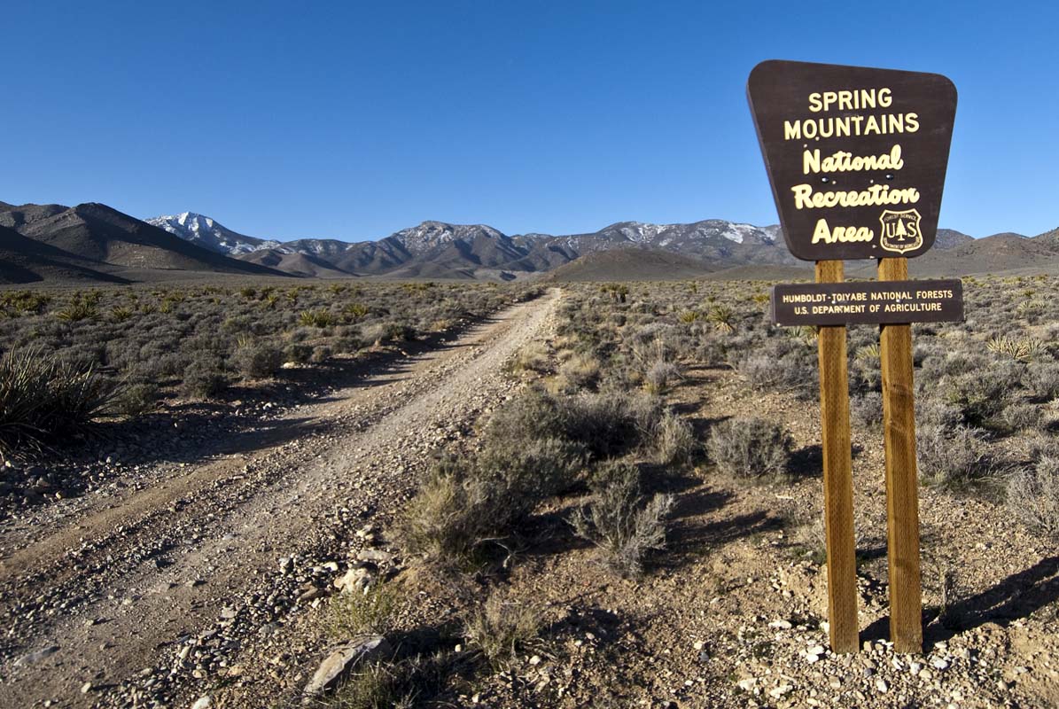 Southern Nevada Outside: Mt Stirling WSA