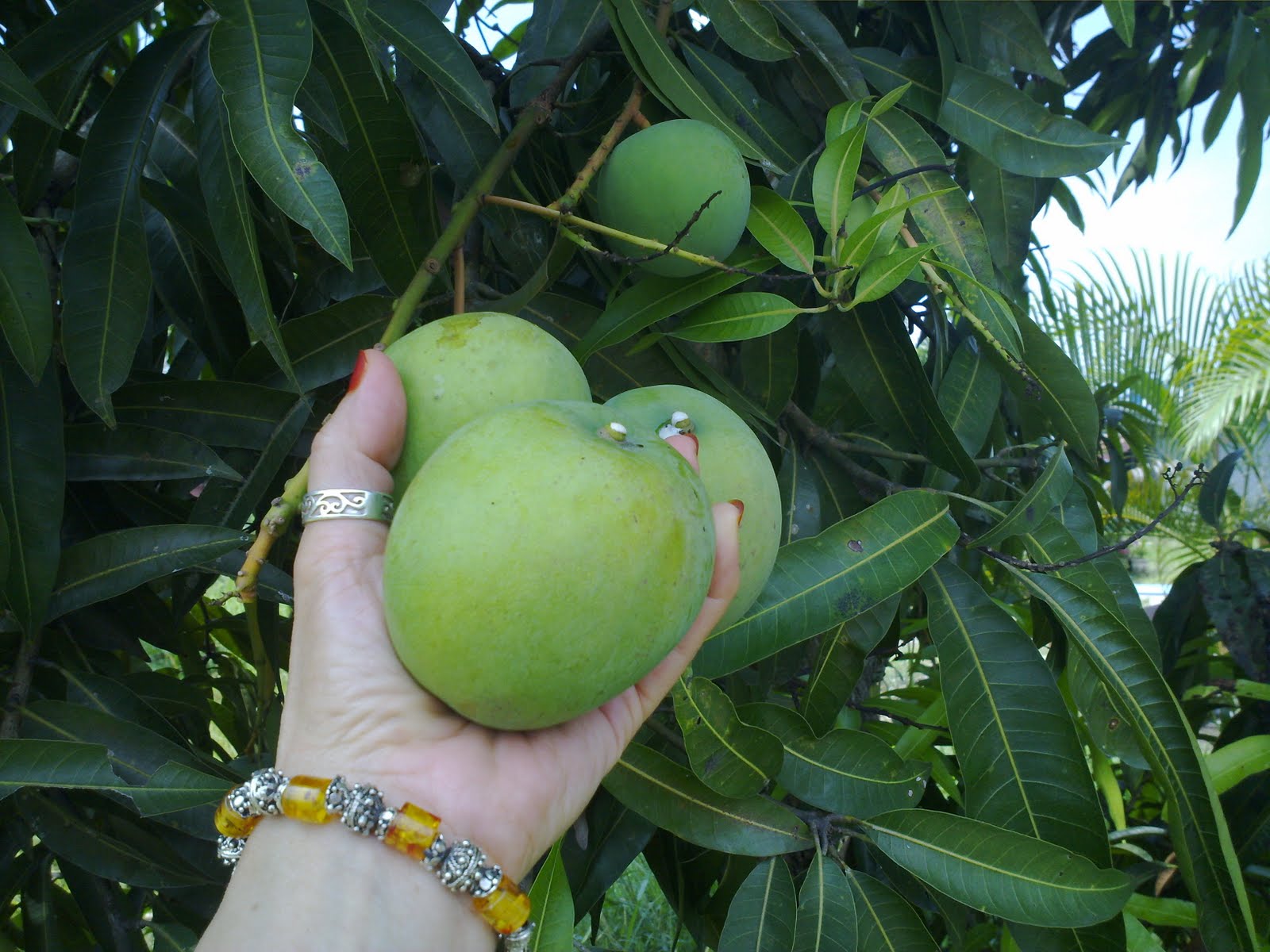 JUSTIFFA: Crazeee Sunday