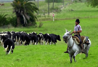 Uruguay Trips: Campos uruguayos