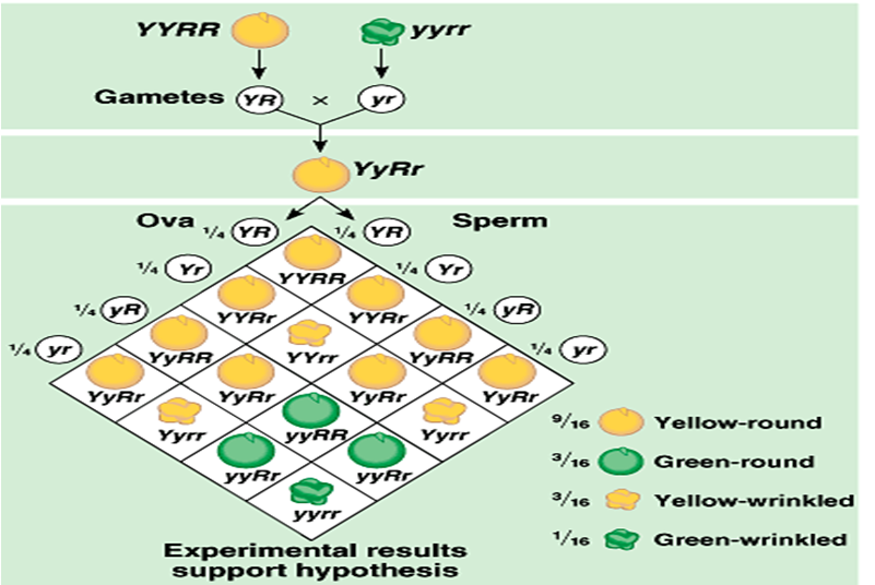 My Heart My Soul My Happiness My Sufferness