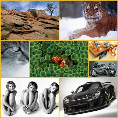 Theme Styles: June 2009