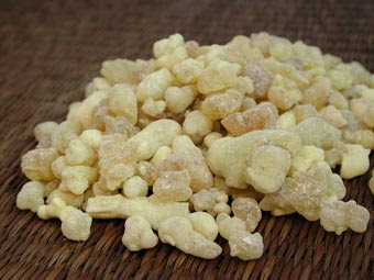 Olhando com a coruja: OLÍBANO