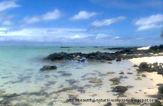 Natural wallpaper: Wonderful sea beatch