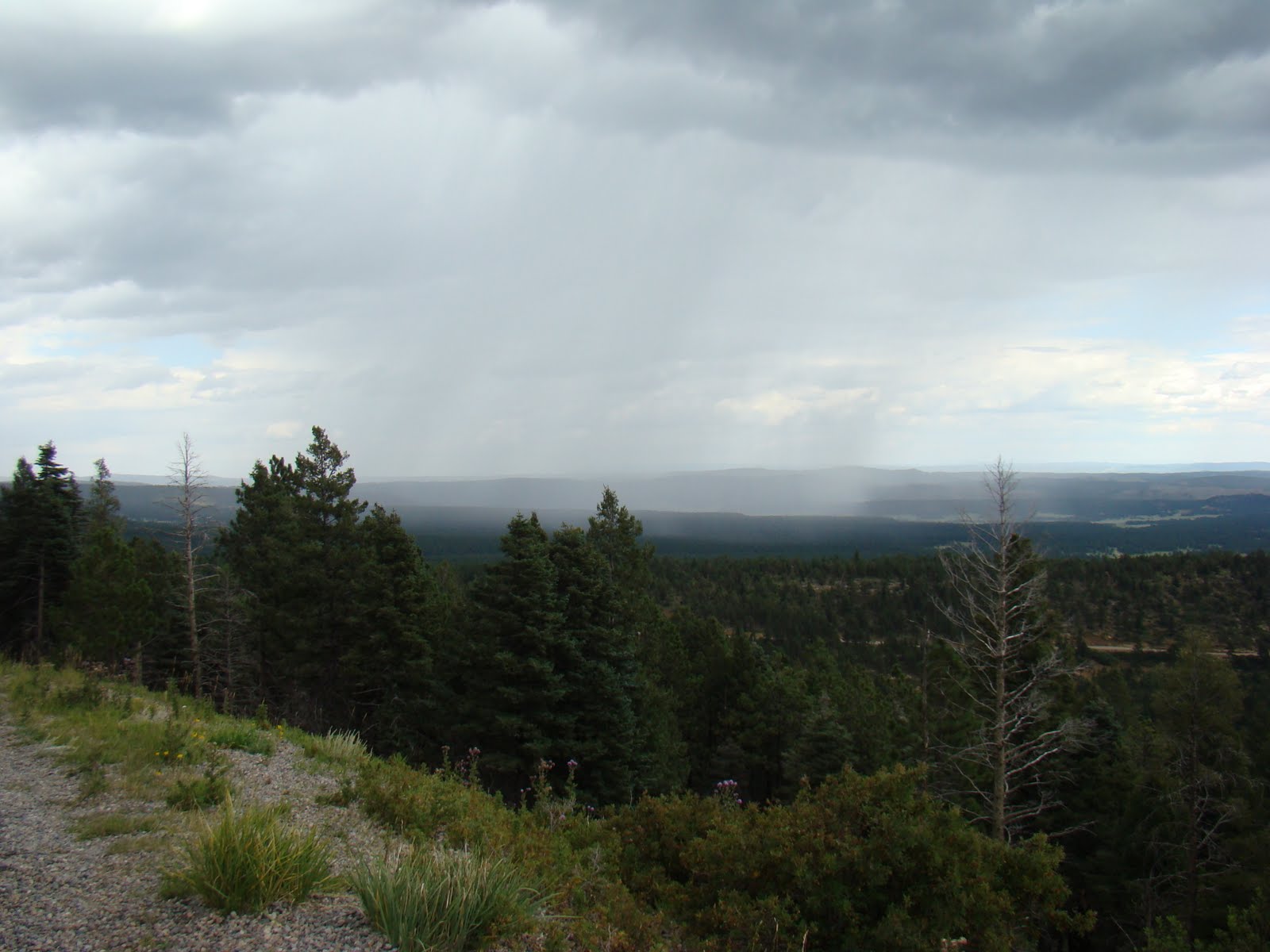 Travel with Us: Costilla Trip - Rio Costilla and the Valle Vidal