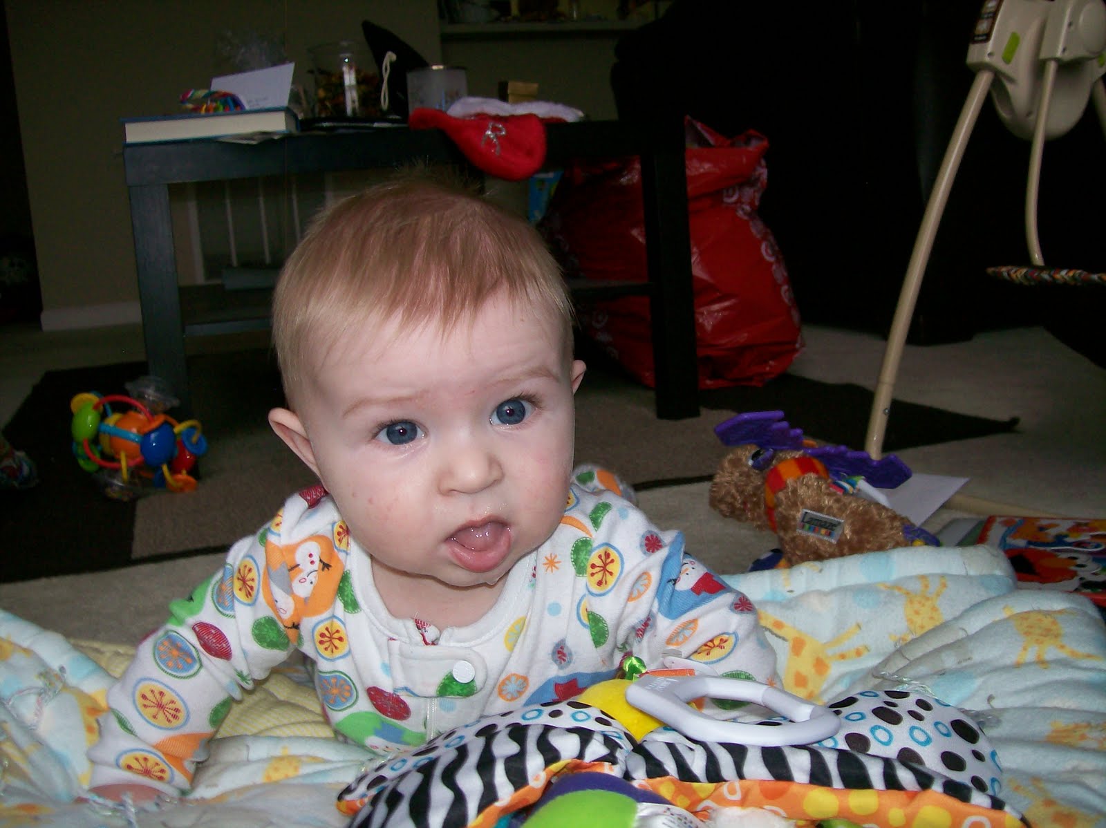 Dave & Stephanie Collard: Dexter's first Christmas