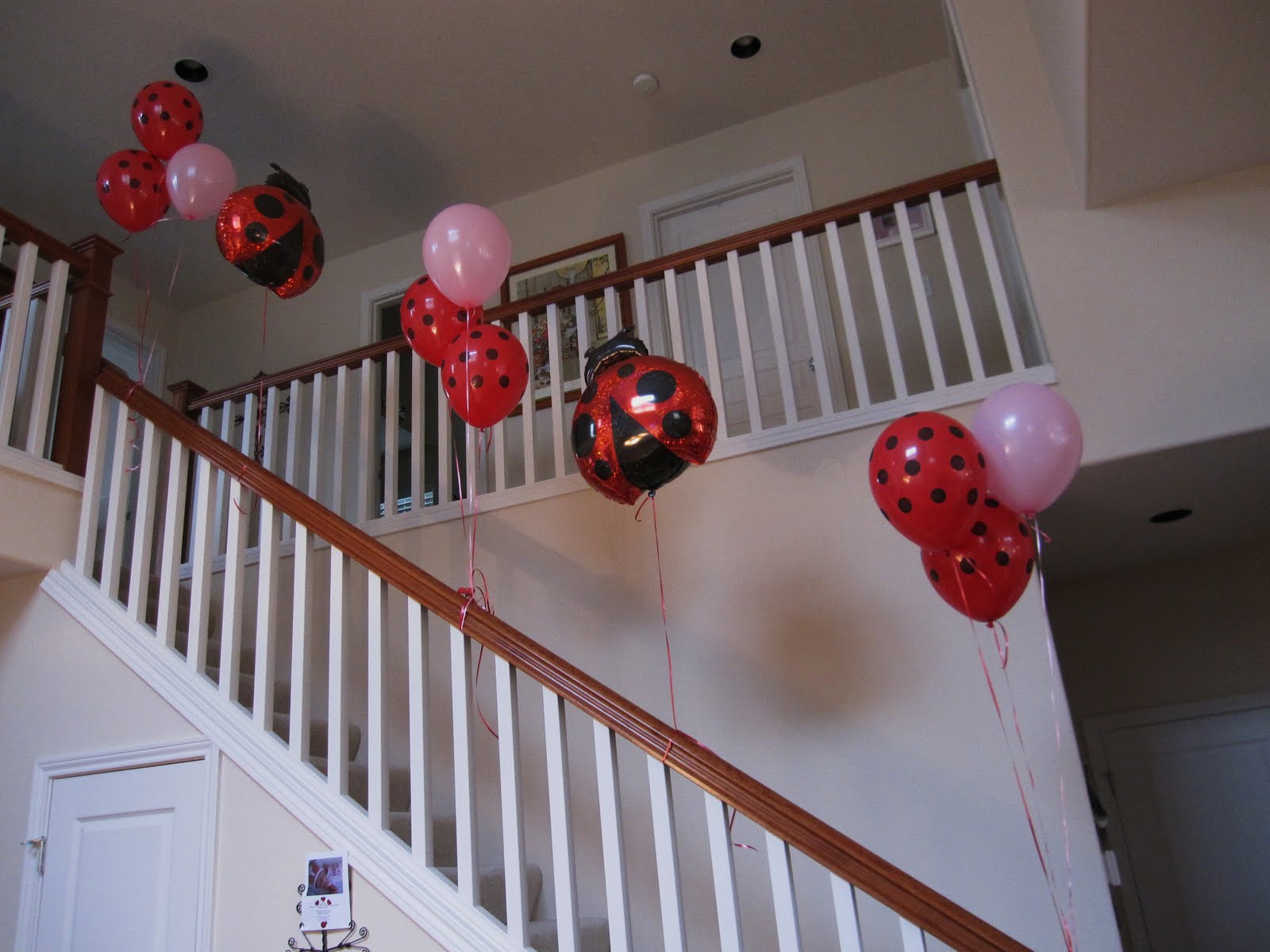 The Adventures of Reuben, Amy, Chloe, Calista & Cruz: Calista's Reception