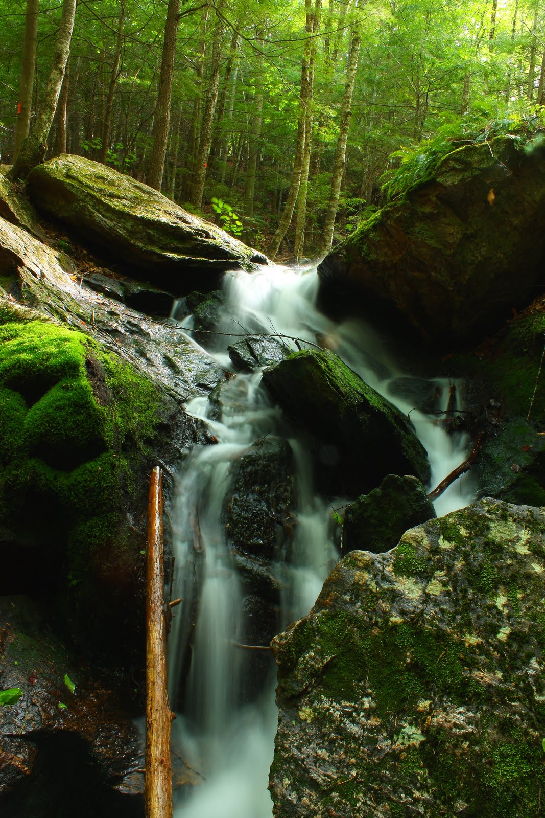 The World I See: Pulpit Rock