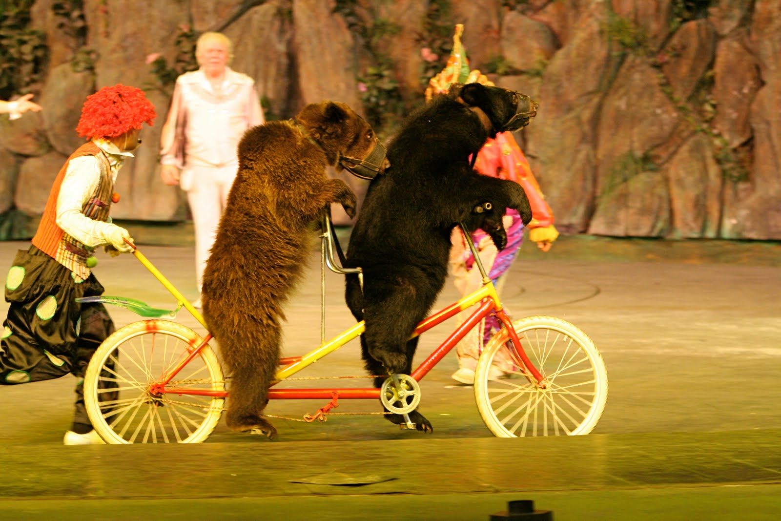 Nine Boys, Nine Girls: Chimelong Circus: Bears